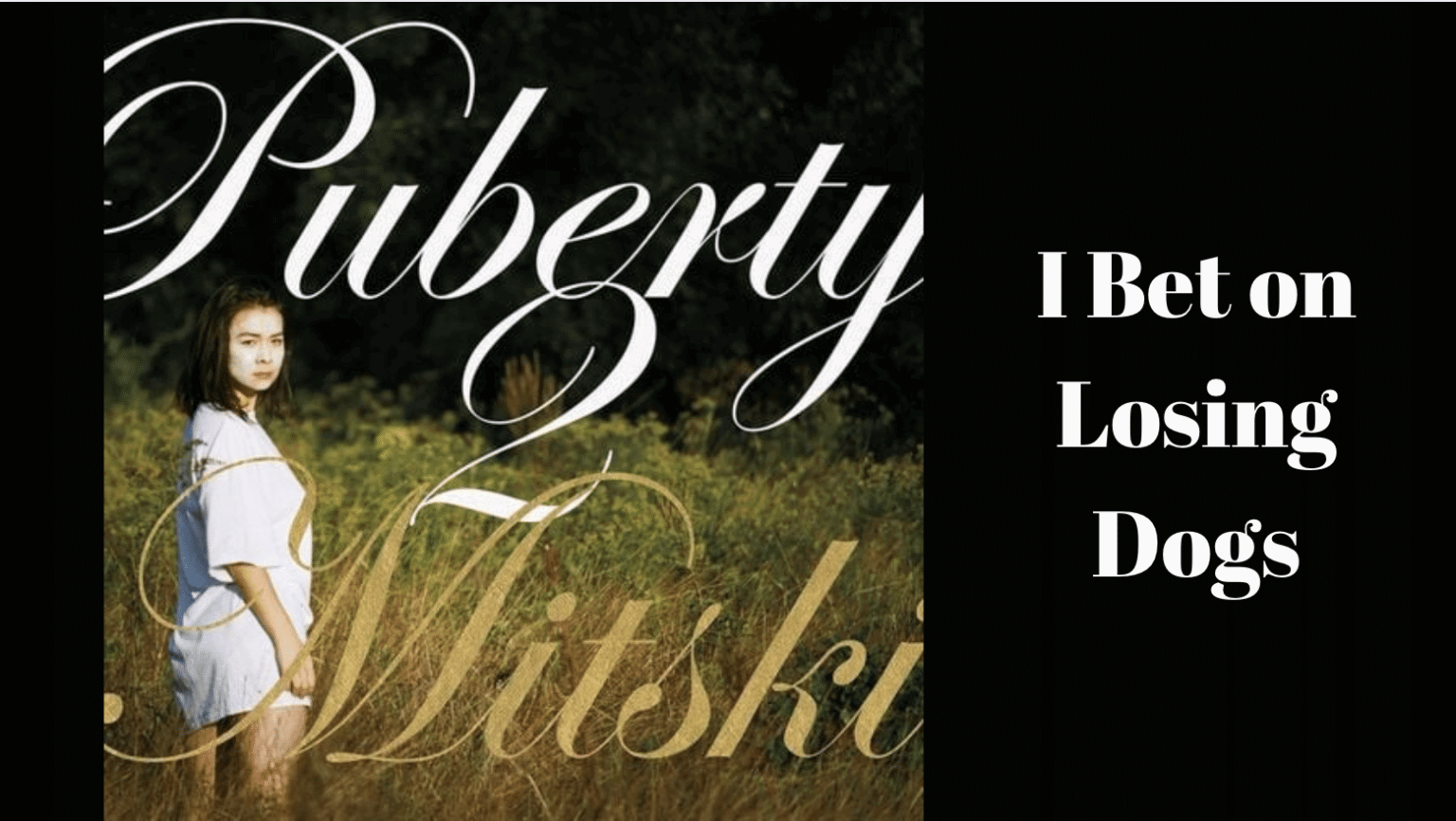 Be Entertained By Mitski's 'I Bet on Losing Dogs' Lyrics - GigWise