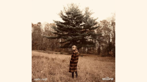 Willow Lyrics by Taylor Swift - GigWise